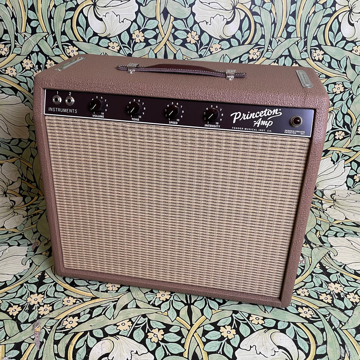 Fender Chris Stapleton Signature '62 Princeton Amp – eastside music supply