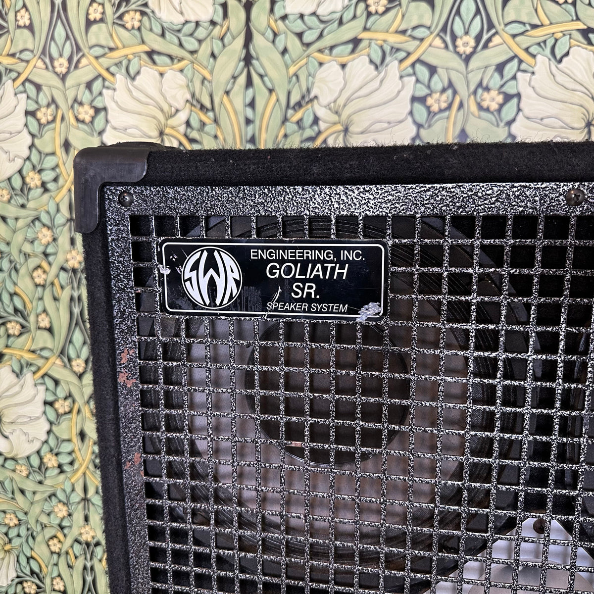 SWR Goliath Senior 6x10 Bass Speaker Cabinet – eastside music supply