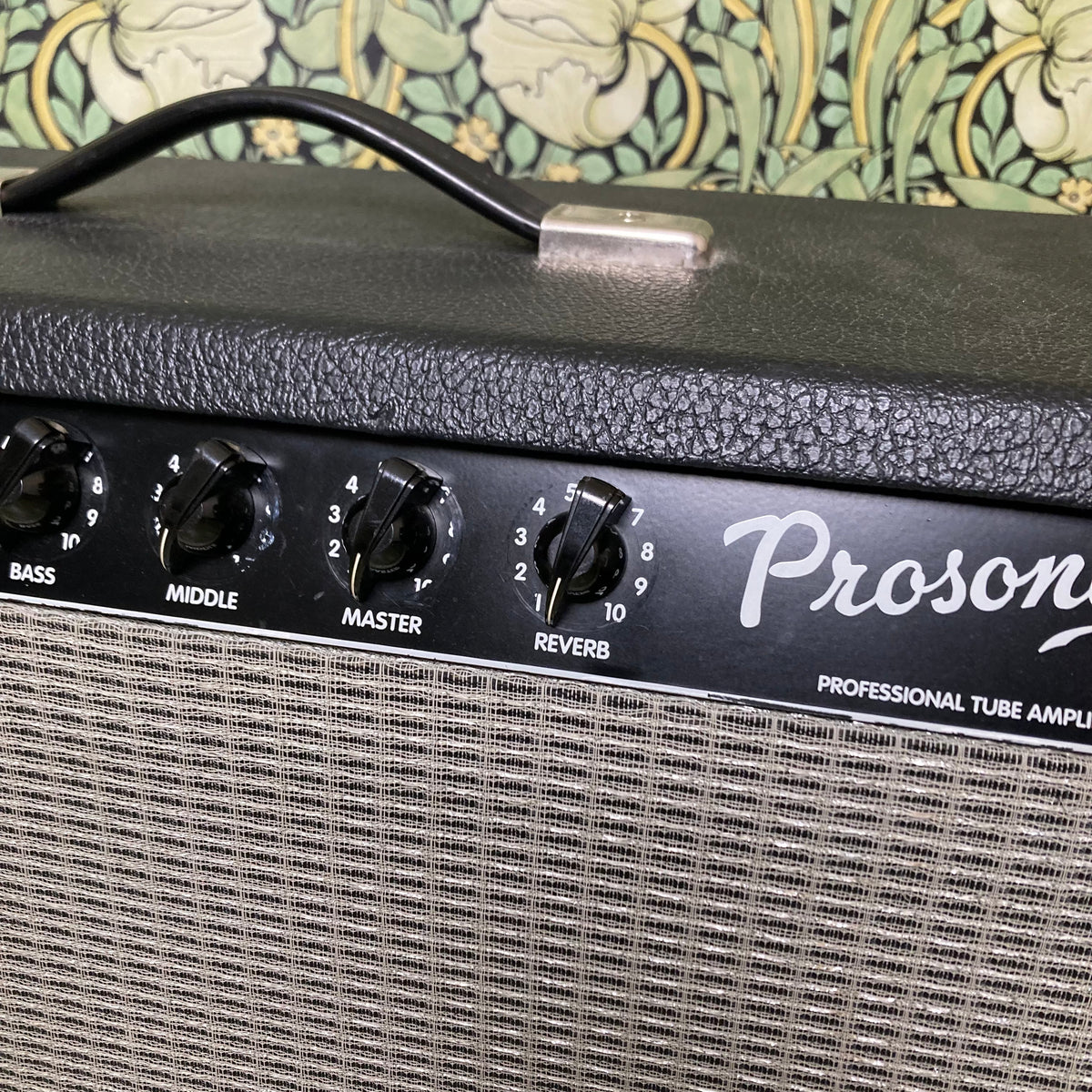 Fender ProSonic 2x10 Combo Amp – eastside music supply